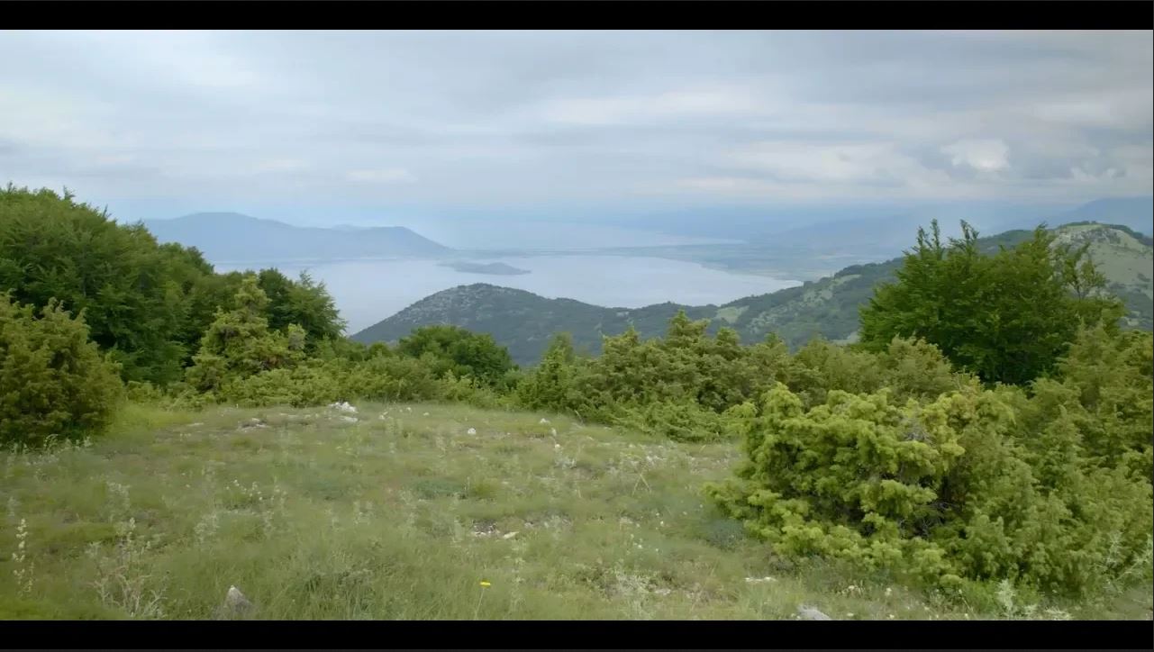 Prespa Lakes | MAVA Foundation